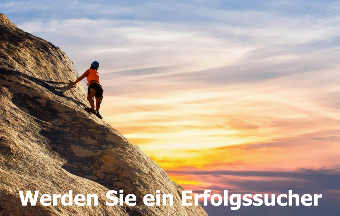 Initiative Ludwig Erhard Preis